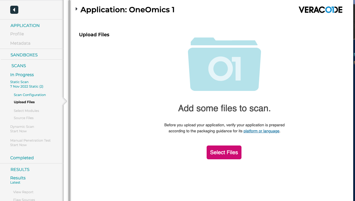 A python tool to perform and analyze Veracode scans - Friedrich's Blog